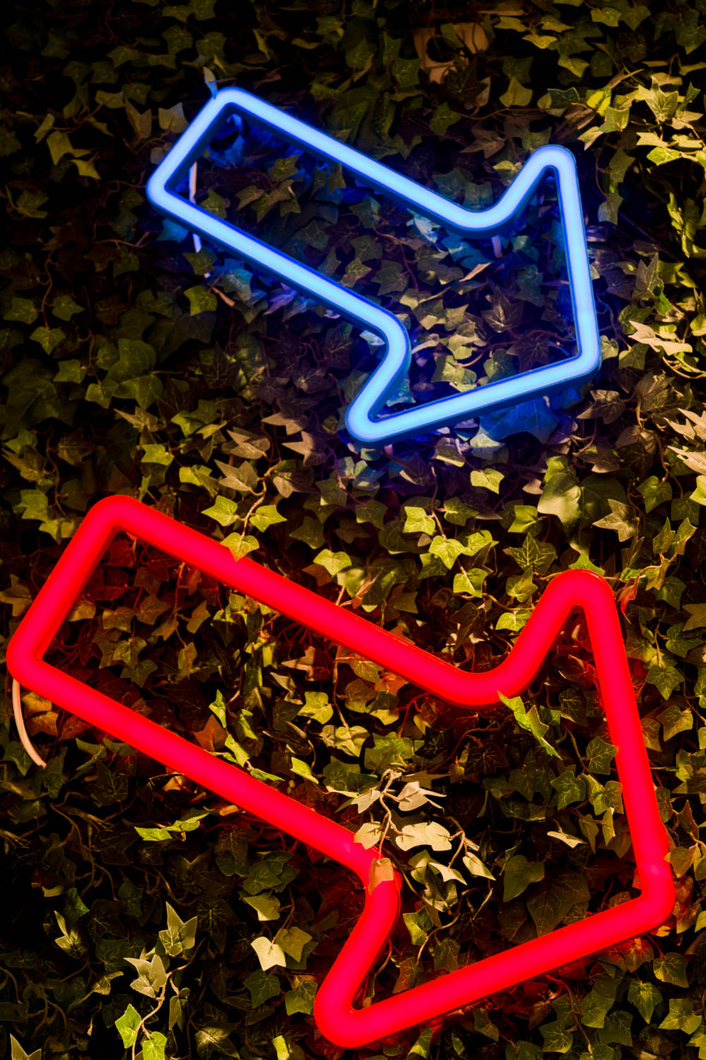 Néon LED Personnalisé | Maison du Néon – Créez Votre Néon Sur Mesure